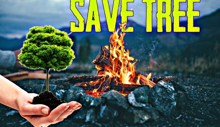 Help Me Save Trees From Being Burnt - Ketto
