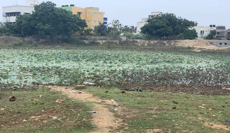Revival Of Thaali Kulam Lake Chennai - Ketto