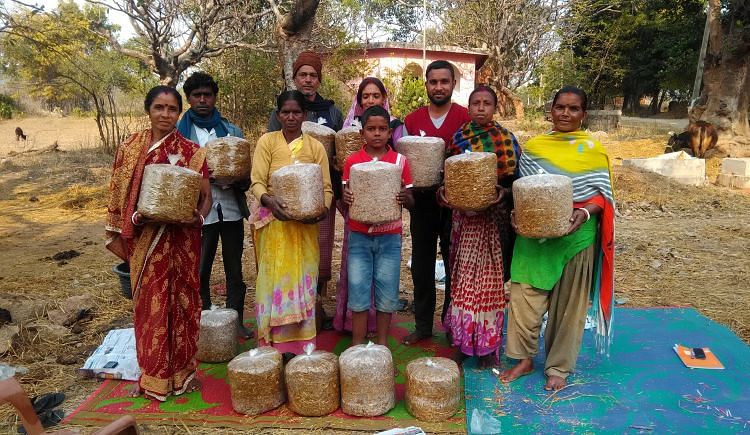Rural Empowerment Of Women By Mushroom Cultivation - Ketto