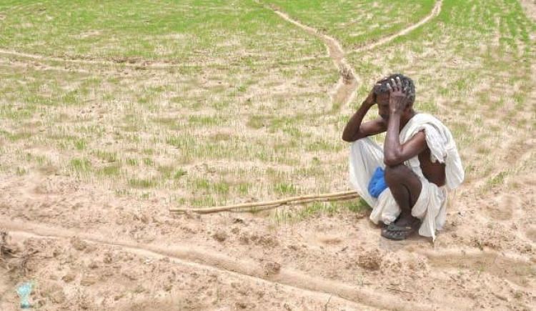 Help Me Empower The Makhana Farmers Of Bihar - Ketto