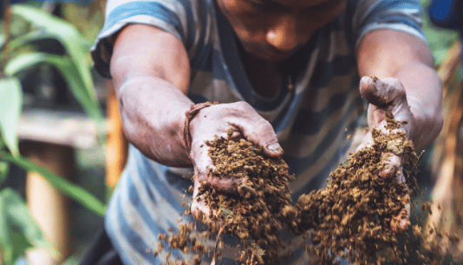 Please Help Marginalized Small Farming Communities Of Rural Darjeeling ...