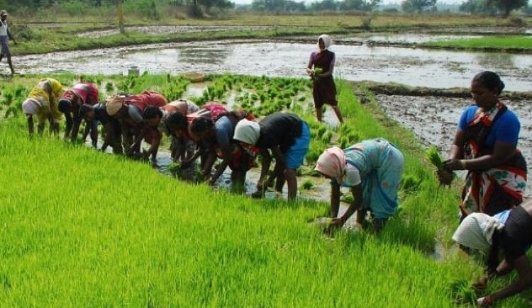 Help Empower Small & Marginal Farmers - Ketto
