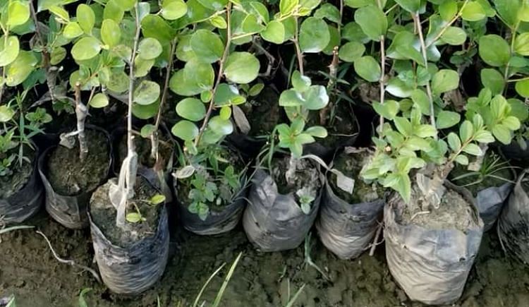 Help Empower Small & Marginal Farmers - Ketto