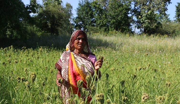 Support Women Farmers Fight A Poverty Pandemic! - Ketto