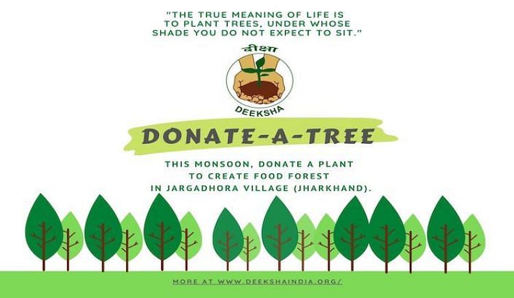 Donate Fruit Tree Saplings For A Village To Create A Community Food ...