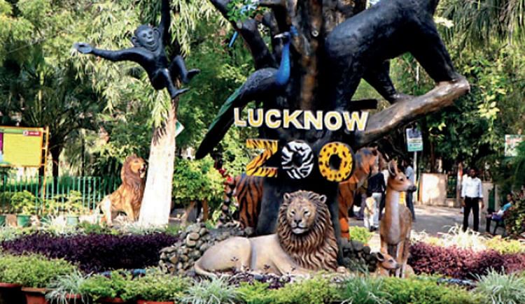 Zoo Fundraiser - Ketto