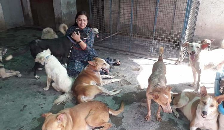 Please Help Casper's Home To Feed Distressed Animals During Pandemic ...