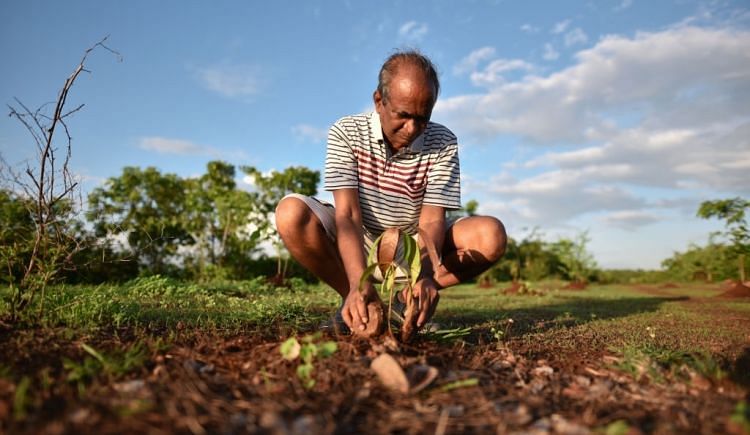 Help Us To Save The Earth By Planting 1 Million Trees - Ketto