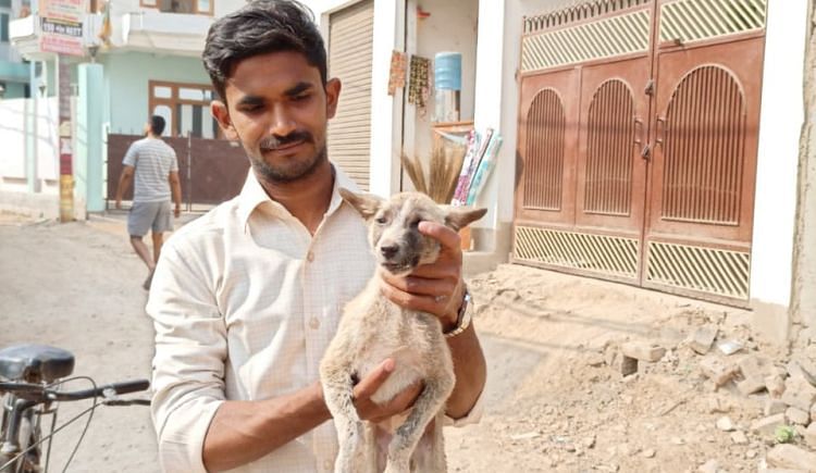 Vehicle For Animal Saviour (ajay Mukherjee) - Ketto