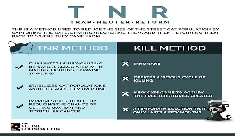 Trap. Neuter. Return - Ketto
