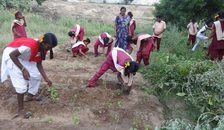 Value Based Agriculture - Ketto