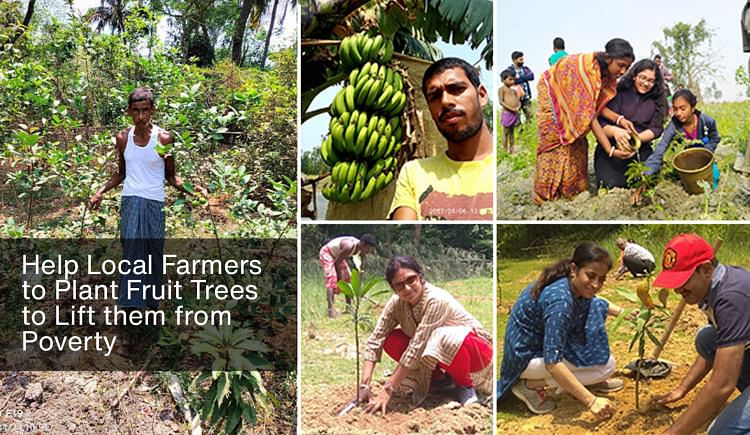 Help Local Farmers Plant Fruit Trees By Donating To The Cause. - Ketto
