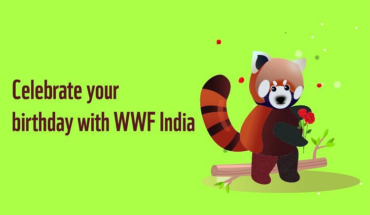 Celebrate Birthday For Nature And Wildlife With WWF India - Ketto