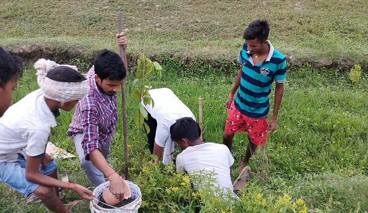 FUNDRAISER FOR TREE PLANTATION - Ketto