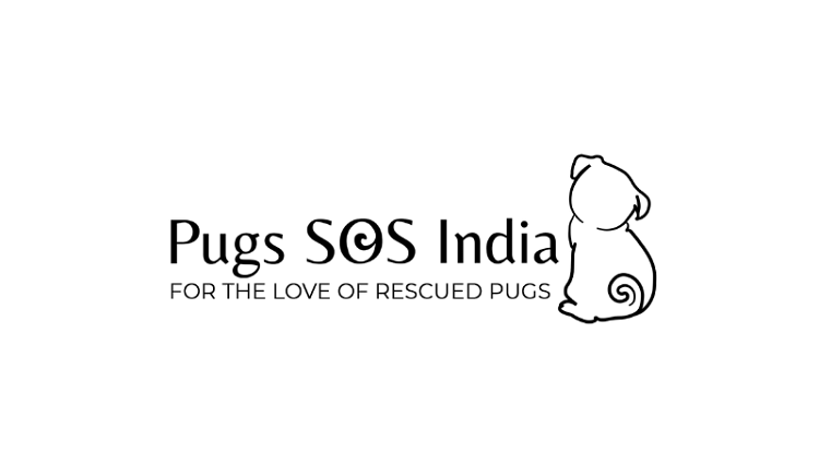 Pugs SOS India - Raising Funds For Abandoned Pugs Who Need Help - Ketto