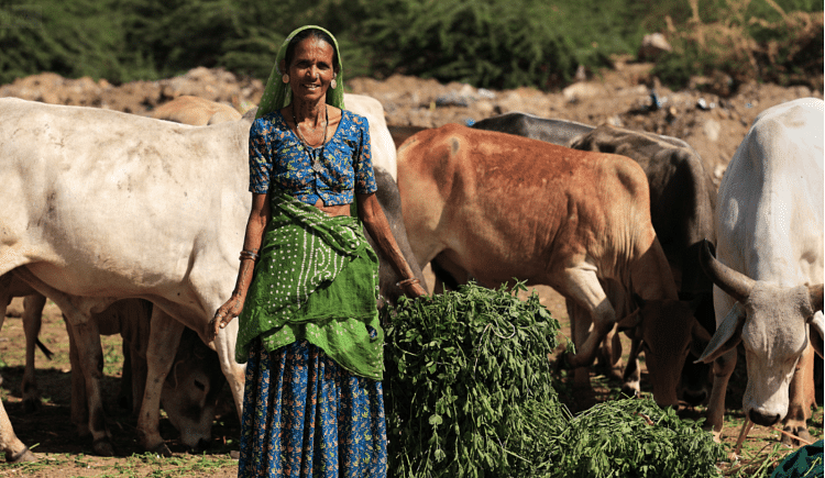 Supporting Farmers In Rural India - Ketto