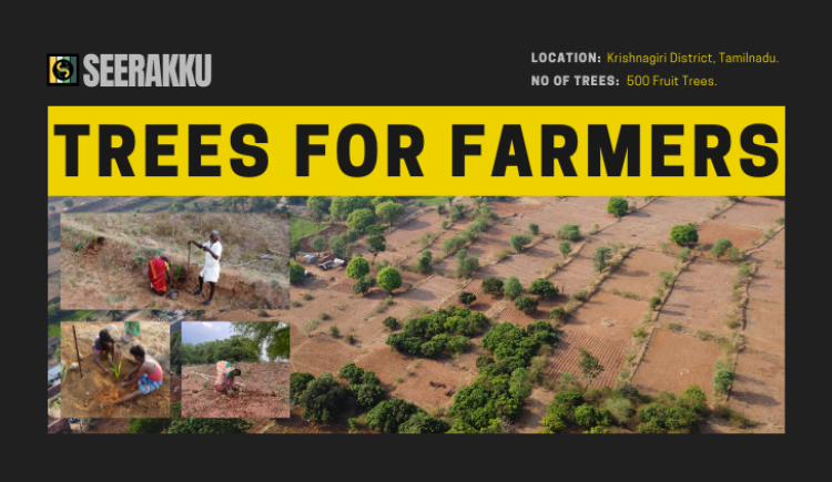 Trees For Farmers - Ketto