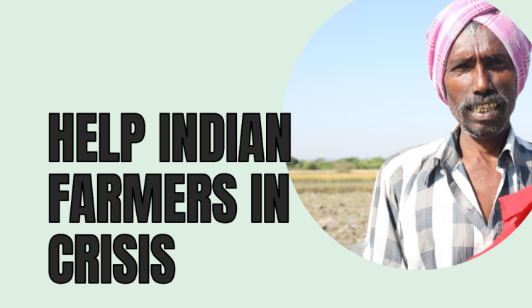 Help Farmers In Emergencies- Farmers In Crisis Help Needed Urgently - Ketto