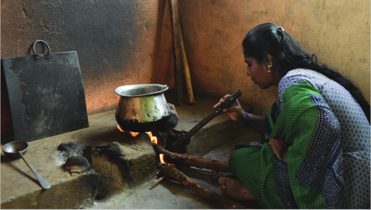 Help Forest Communities In India Get Alternative Firewood With Gujarat ...