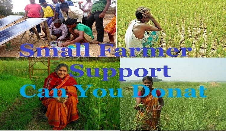 My Home Aria Small Farmer Support For 5000 Farmer - Ketto
