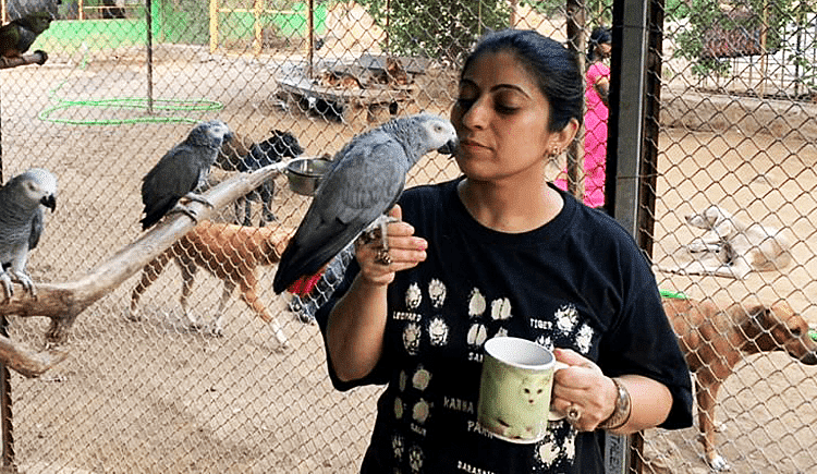 Help Dr. Deepa Save The Lives Of Injured And Abandoned Animals - Ketto