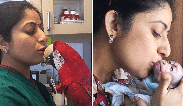 Help Dr. Deepa Save The Lives Of Injured And Abandoned Animals - Ketto