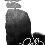 Codon Company For Society To Save Rocks - Ketto